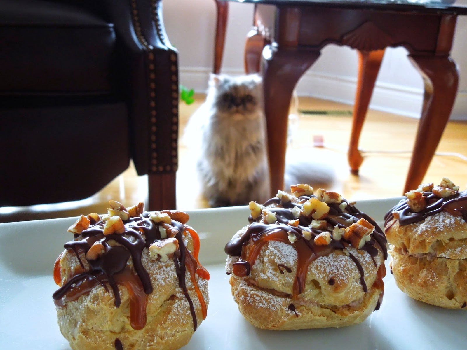 Kala-Dawn's Kreations: Turtle Cream Puffs