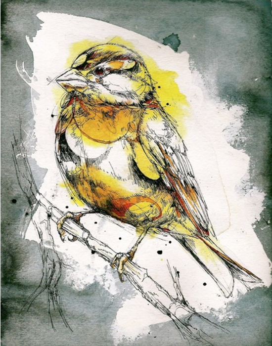 Our designed life: Abby Diamond