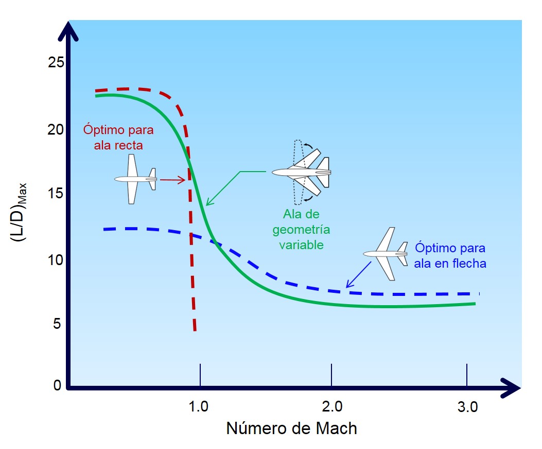 Belleza, forma y función de la planta alar