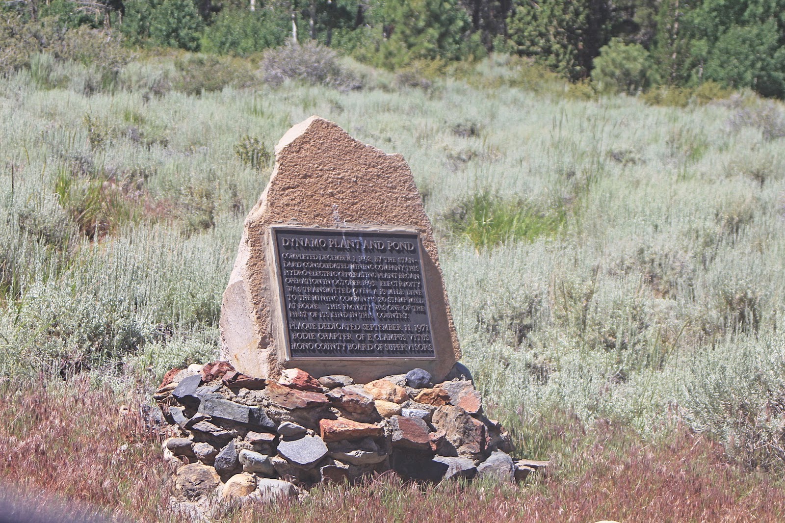 Western Sojourns: Travels with Camissonia: EASTERN & CENTRAL SIERRAS ...