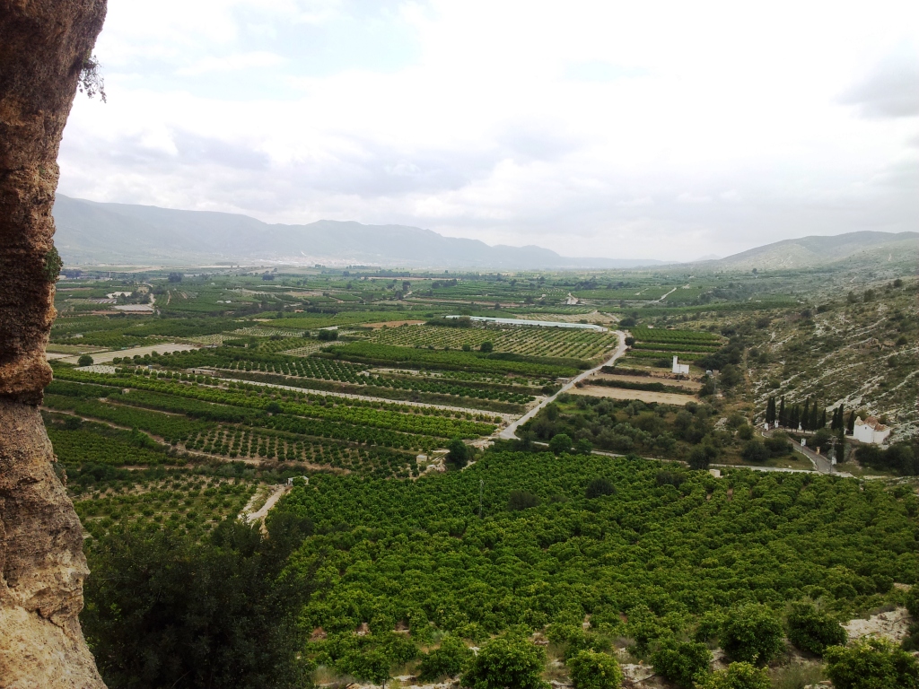 La molasa de Montesa. Una historia del Neógeno : Aventuras geológicas ...
