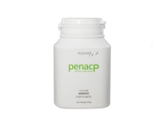 Các sản phẩm thủy sinh nổi tiếng của ADA - Thông tin và hướng dẫn sử dụng