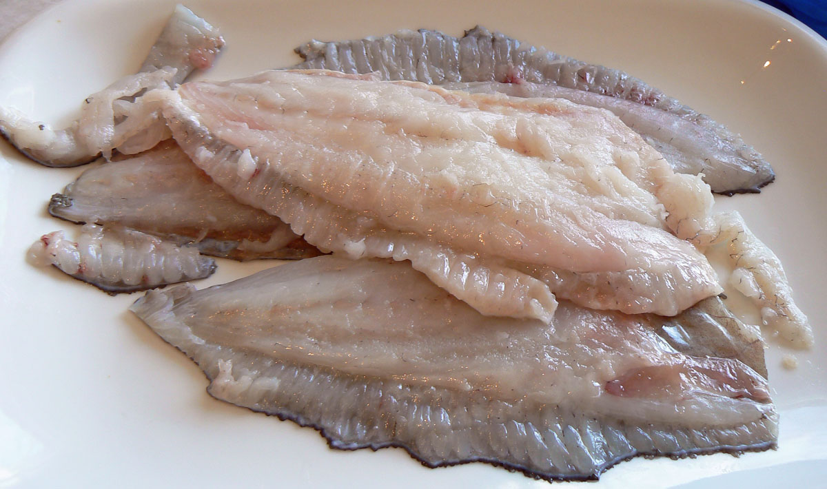 wcs: Turbot