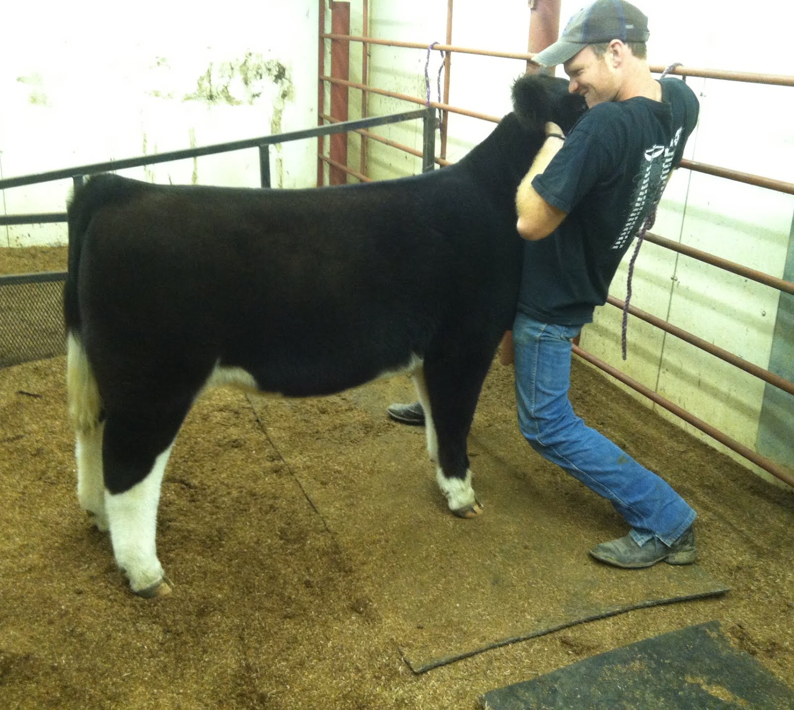 DIAMOND G CATTLE CO.: Willhelm - World Champion Sheep Showman from ...