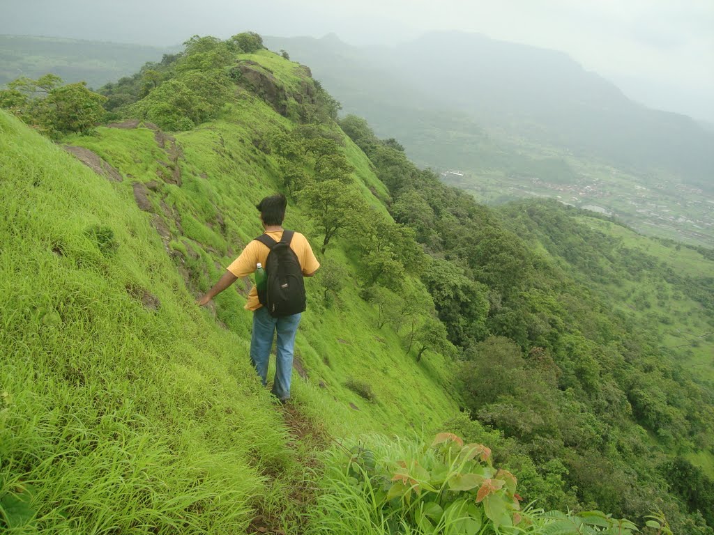 Trekking In Maharashtra: Songiri Fort a.k.a Palasdari Fort (किल्ले ...