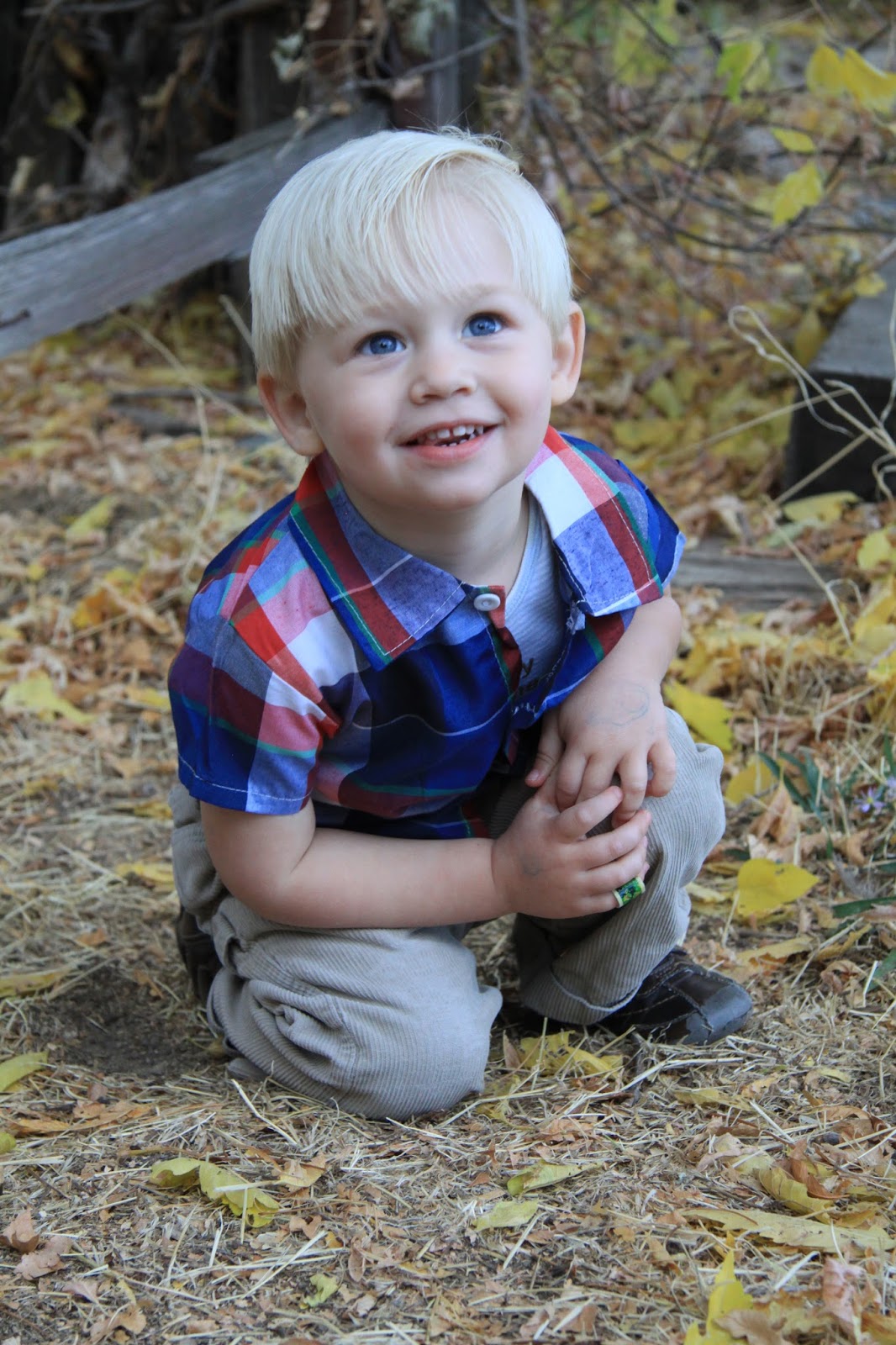 Dr. Coyne's blog: Potty training