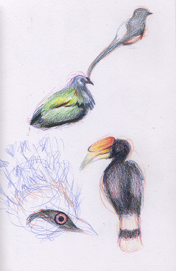 Cincinnati Illustrators Blog: STUDIO SPACE: Sarah Rocheleau