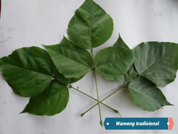 Filosofi - Bregodo Dadap Serep