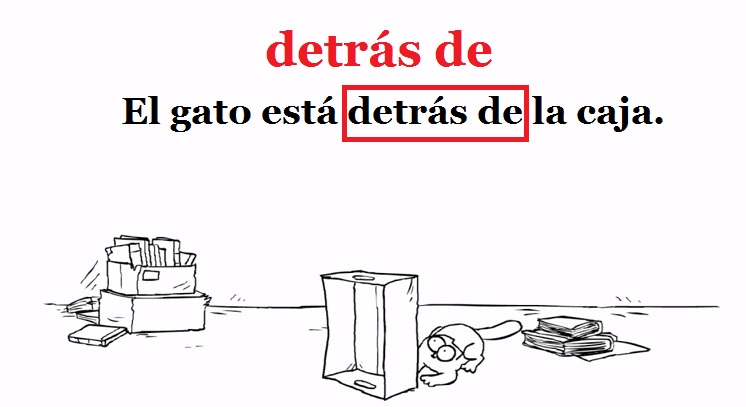 Español por Skype: ¿Dónde está el gato? (A1, preposiciones)
