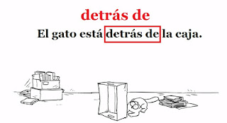 Español por Skype: ¿Dónde está el gato? (A1, preposiciones)