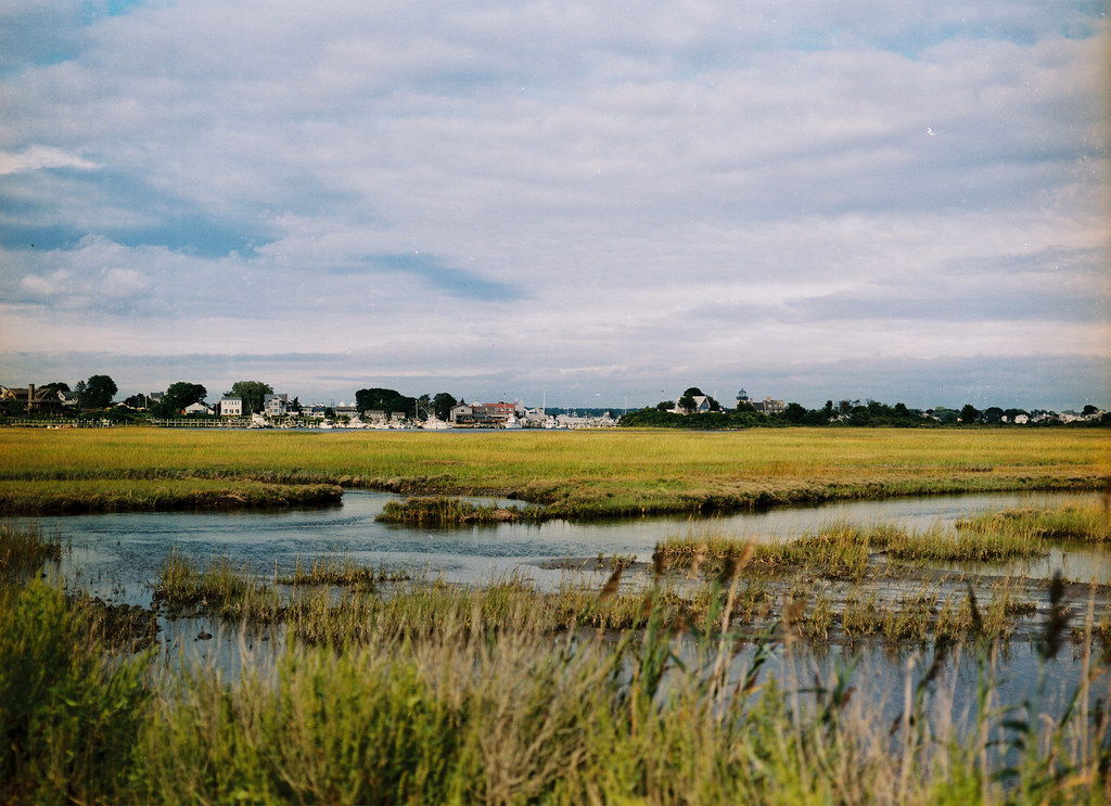 The Narwhal's Left Tooth: Rising seas are drowning salt marshes
