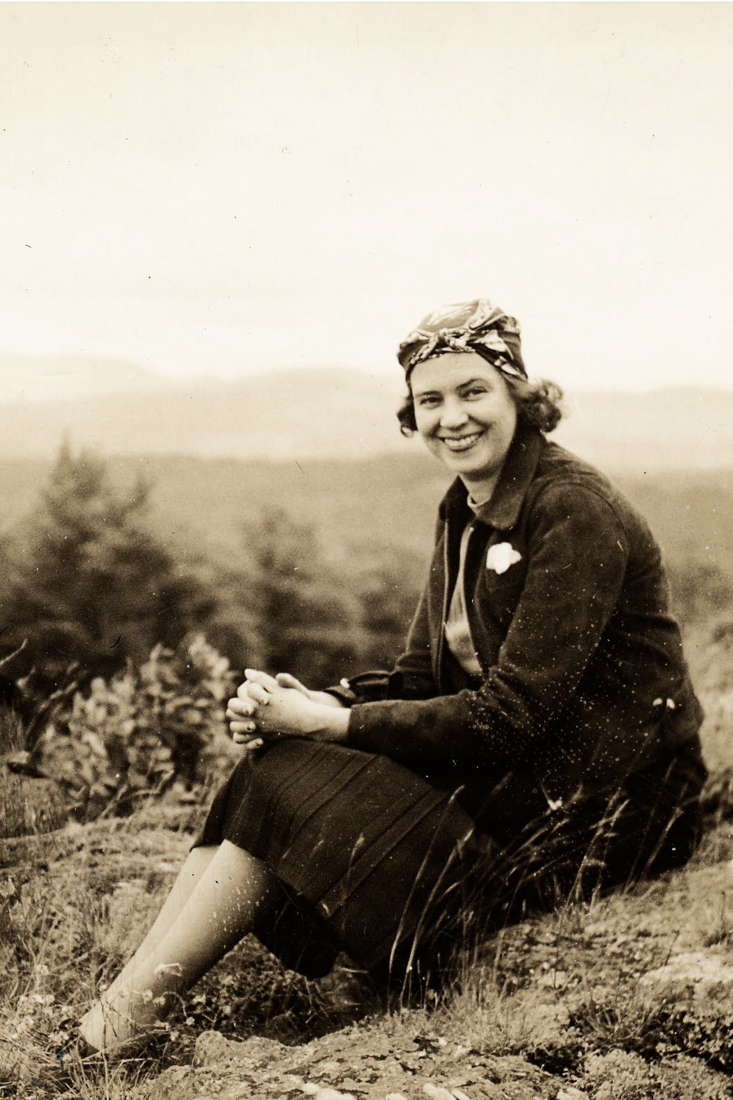 among the saguaros: February 2012