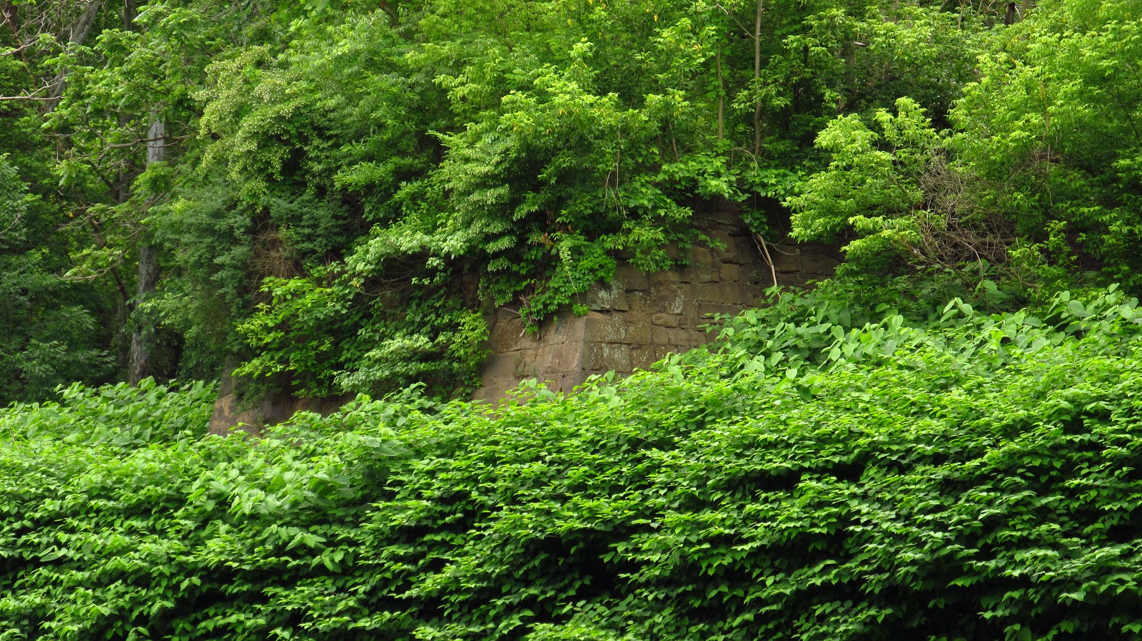 Old Industry of Southwestern Pennsylvania : A Trip Through Packsaddle Gap