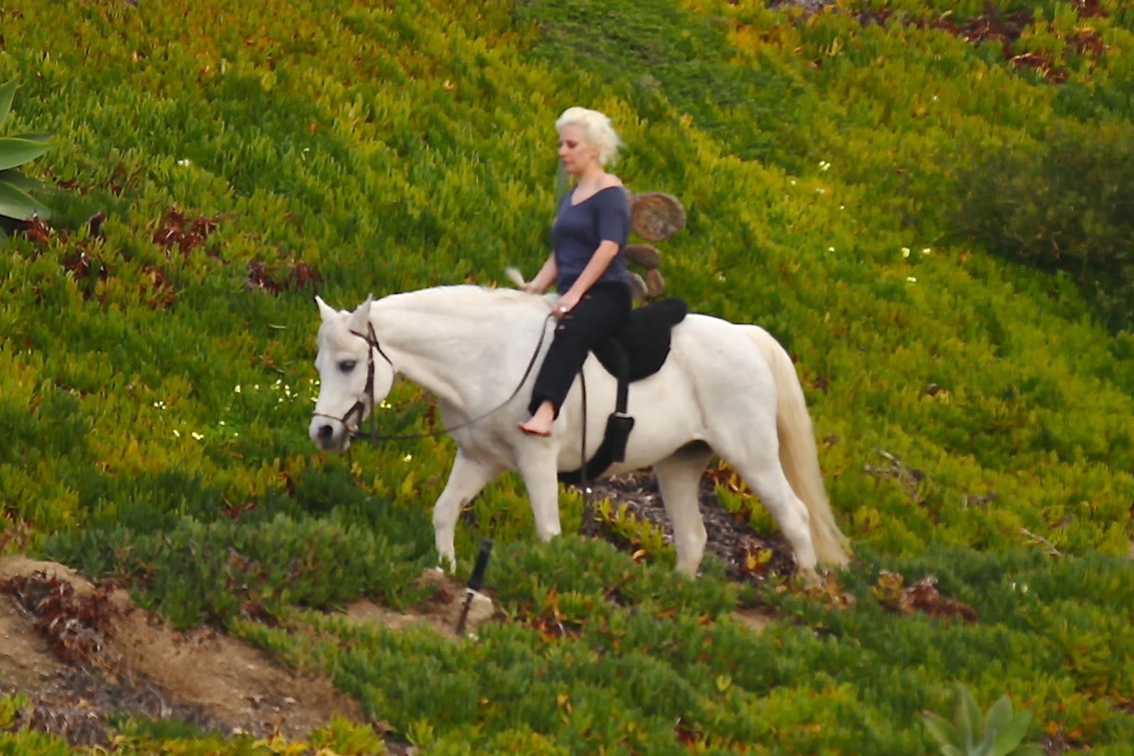 Lady Gaga Riding Her Horse in Malibu, CA - Little Monsters Official