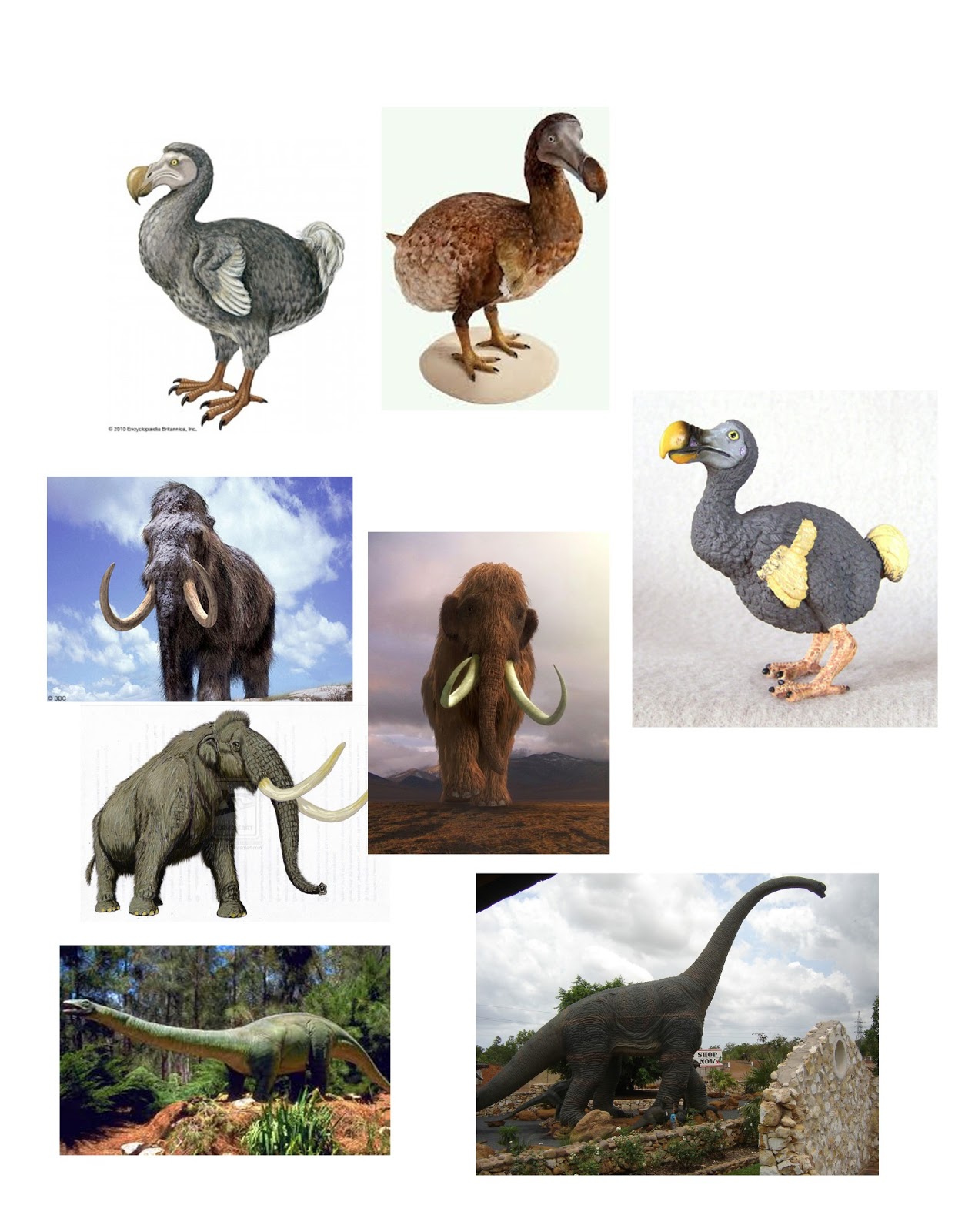 Eyes to Illustration: Exercise - Packaging for children's biscuits ...