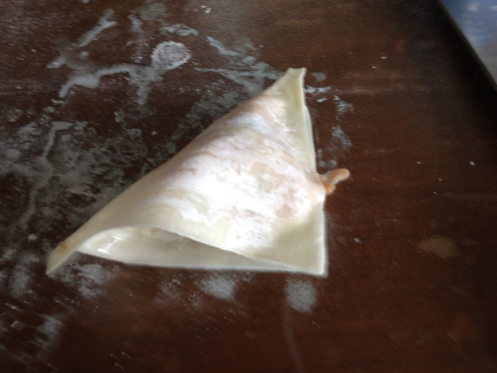 Connecting to Candor: Chinese Pork Dumplings