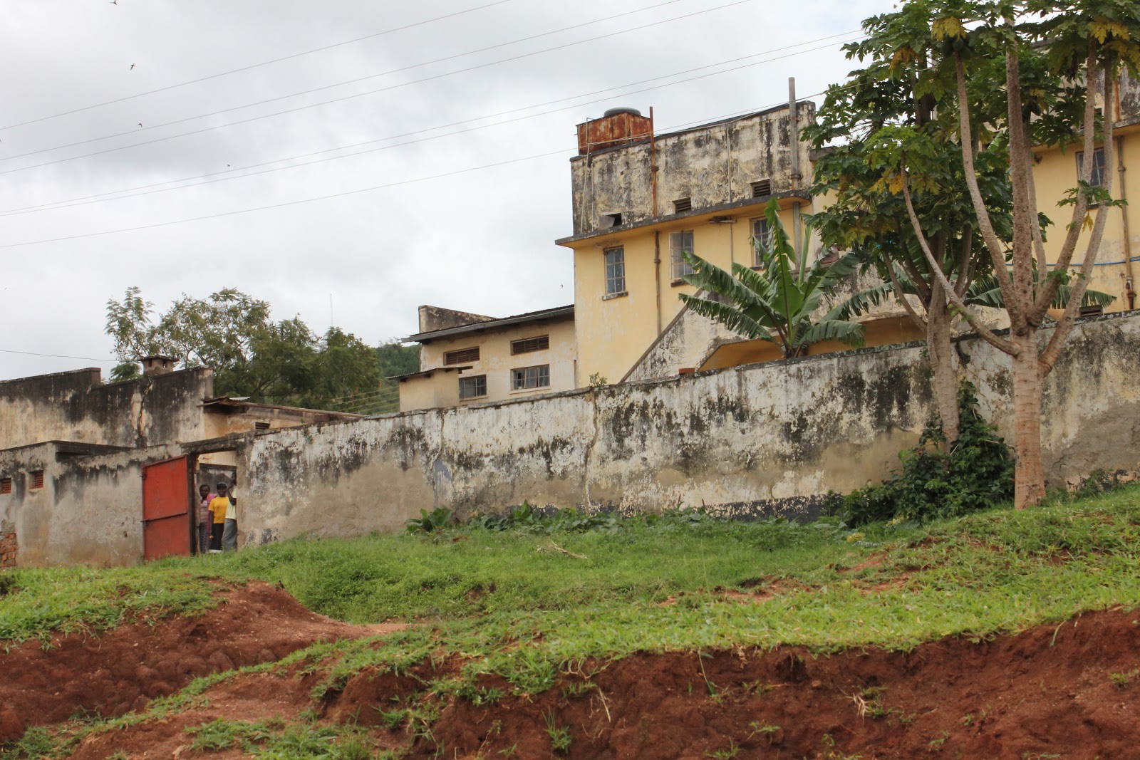 formerly phread: Uganda Trip Day 4