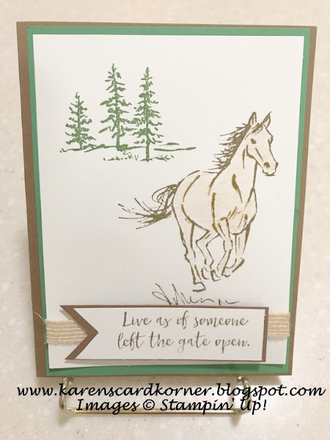 karenscardkorner: Stampin' Up! Let it Ride