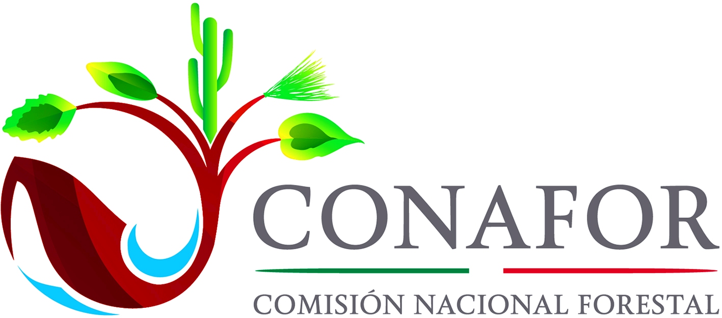 Edoméx en línea: Conafor reforestara un millón de hectáreas