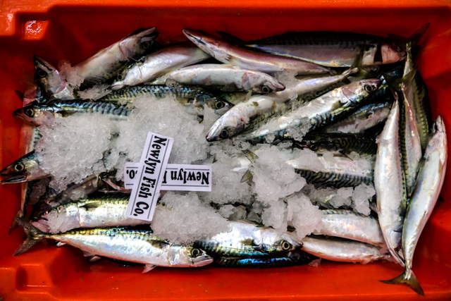 Through the Gaps! - Newlyn Fishing News: Monday morning's market in ...