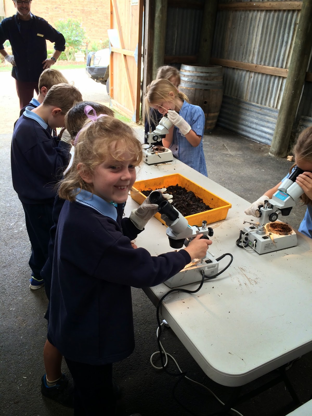2014 Grade 2/3A's Learning Blog: Term Two Briars Excursion