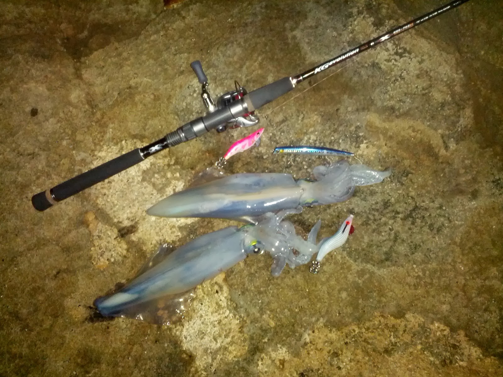 Sa roketa pesca: Calamares con equipo ultra light spinning