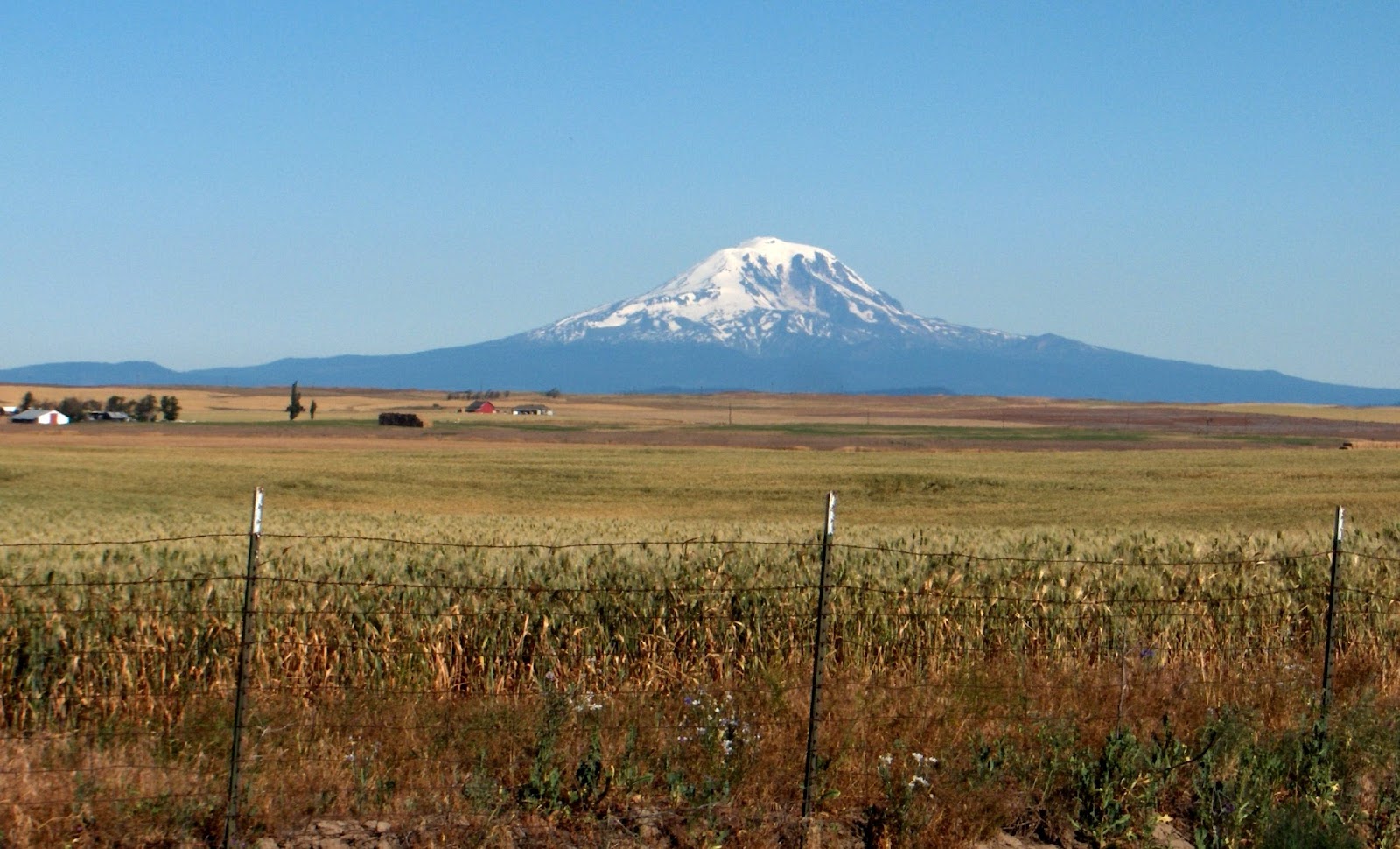 Makkerin blogi: Finnish settlement in Centerville, Washington