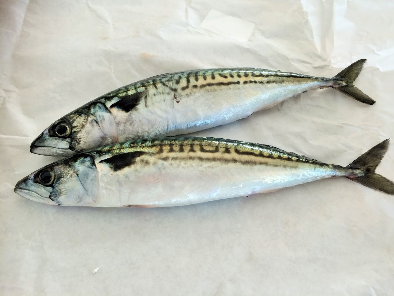 Farmors mat: Makrill i ugn