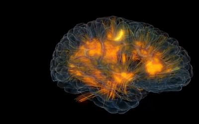 Epigenetics: A Biological Mystery : Photo of the Day: The Art of ...