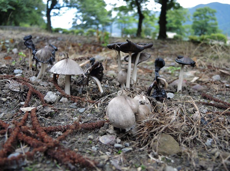 THE SUNDAY ZEN! – M & S | Ultimate High-Fidelity