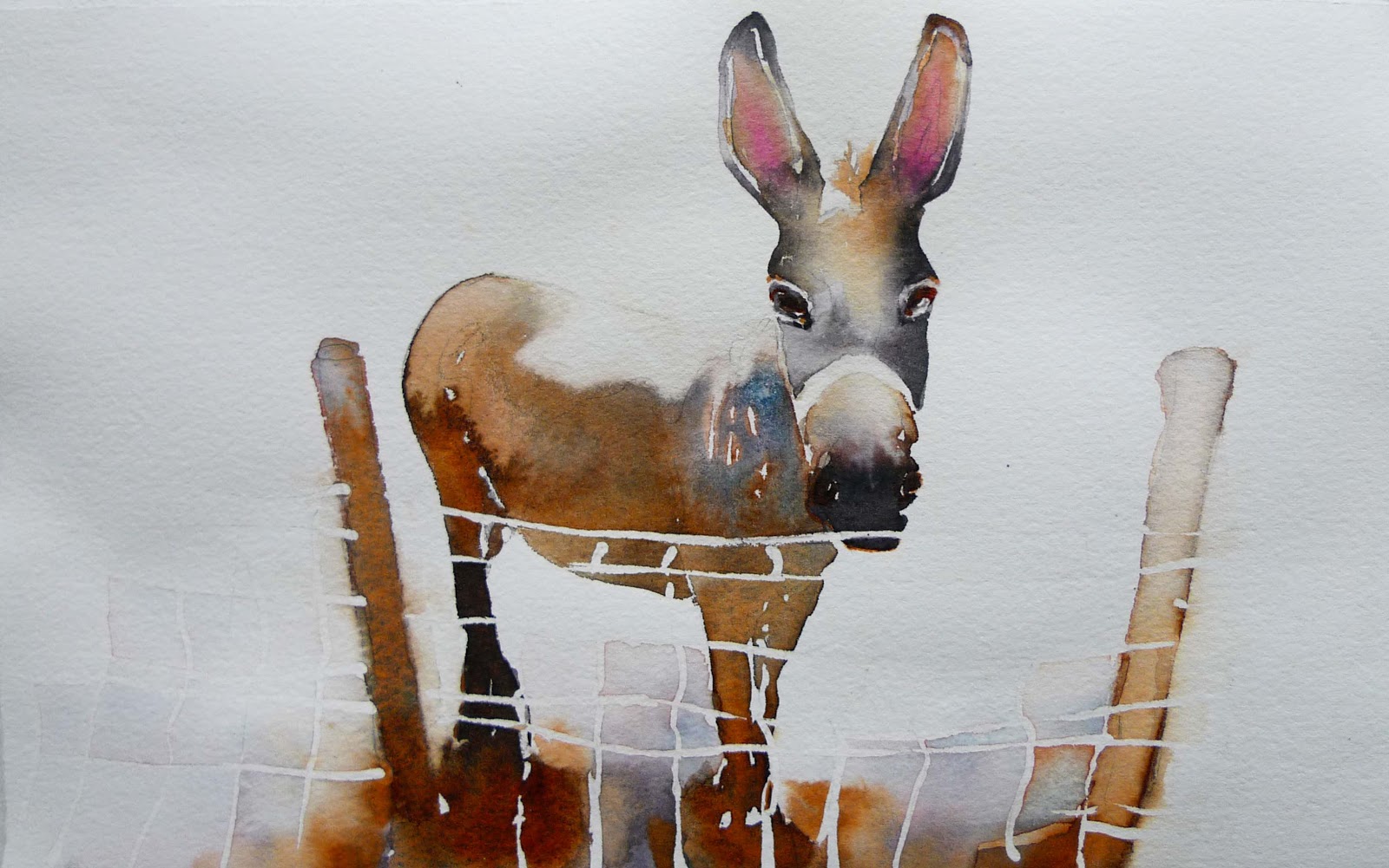 paintings: Donkey Watercolor