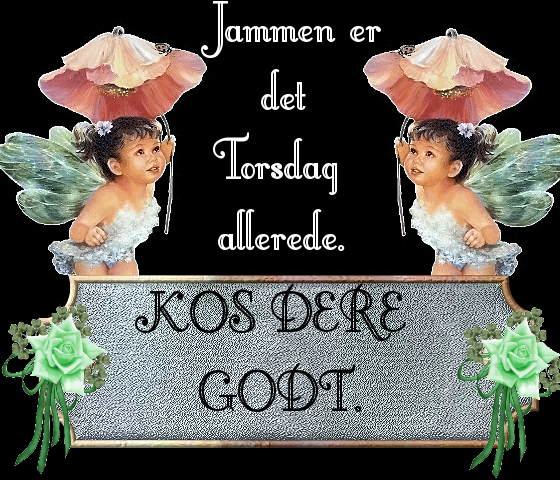 En pensjonist"s hverdag.