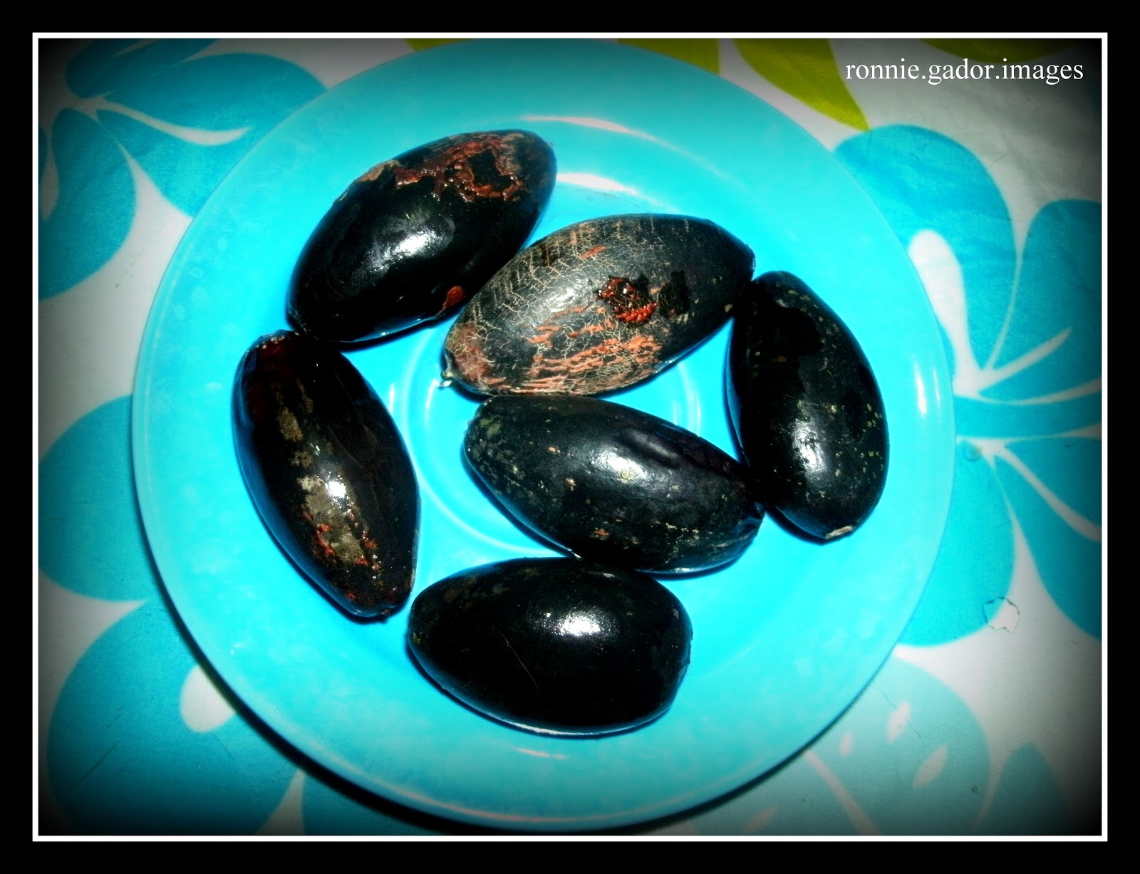 Travels and History: Enigmatic Beauty of Polangui, Albay