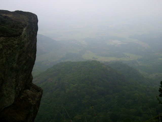 Nature Enthus - DLC : Rajathottam - The Ruler's Choice