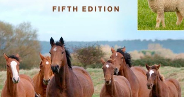 Large Animal Internal Medicine, 5th Edition - VETmasrawy