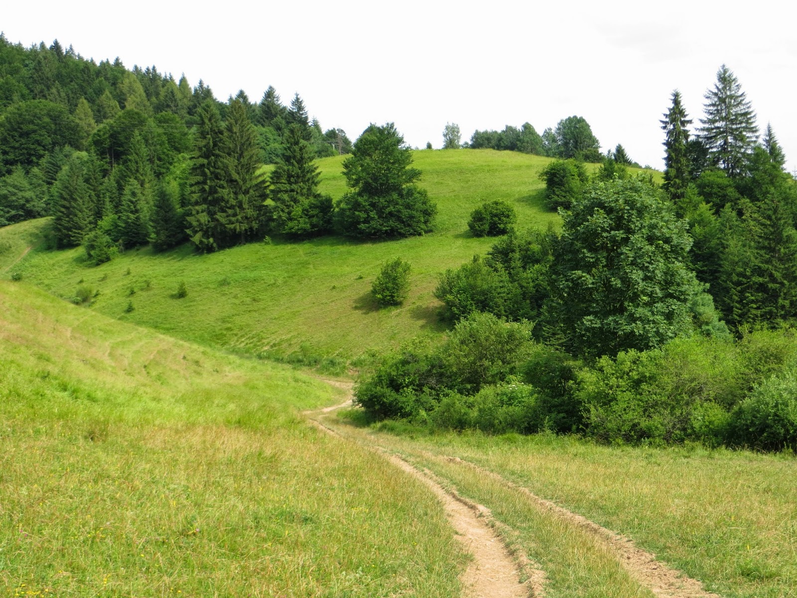 Angeliky bloček: Podruhé v Nízkých Tatrách