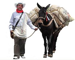 English and virtual antioquia: ARRIERO PARTIES ( fiestas del arriero)