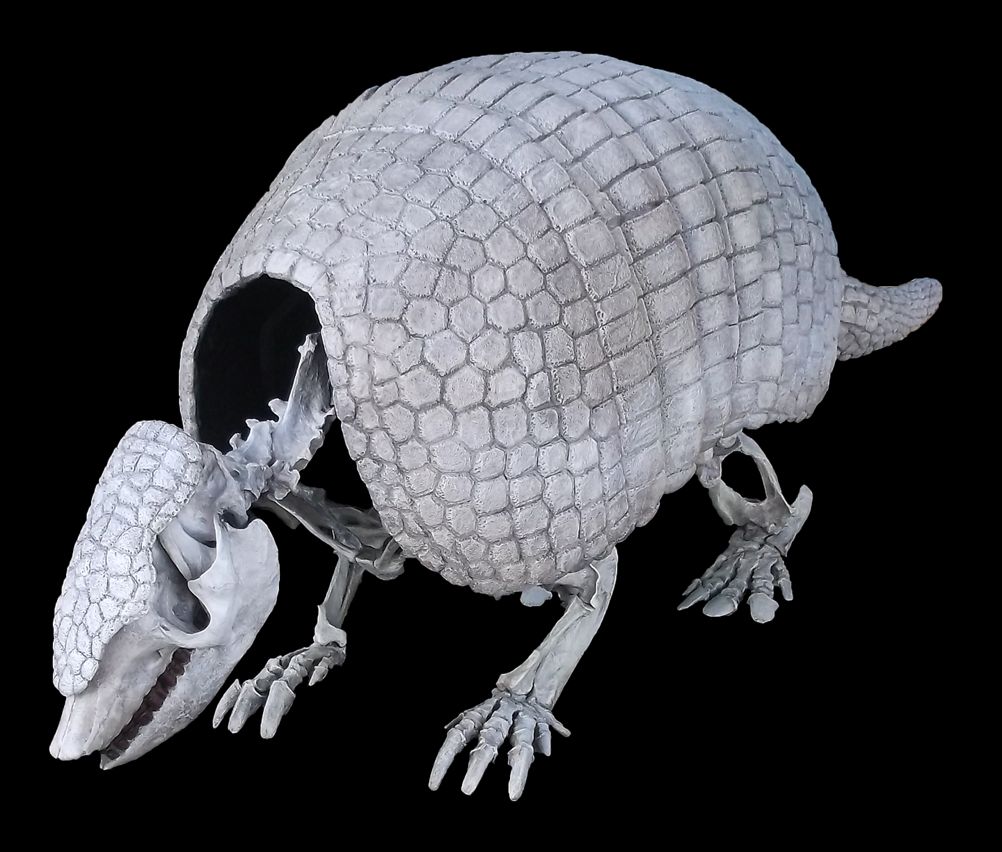 The Expeditioner's Discovery Guild: A little bit of Everything: Museums ...