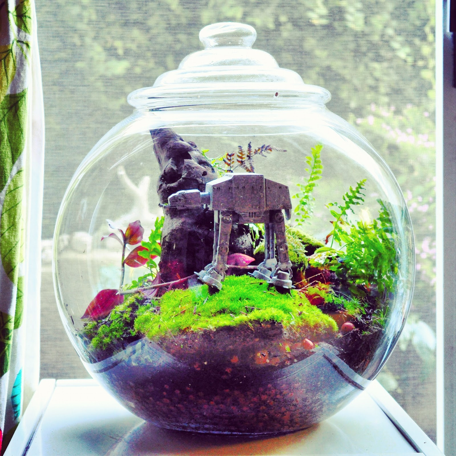 Terrarium & Timmy