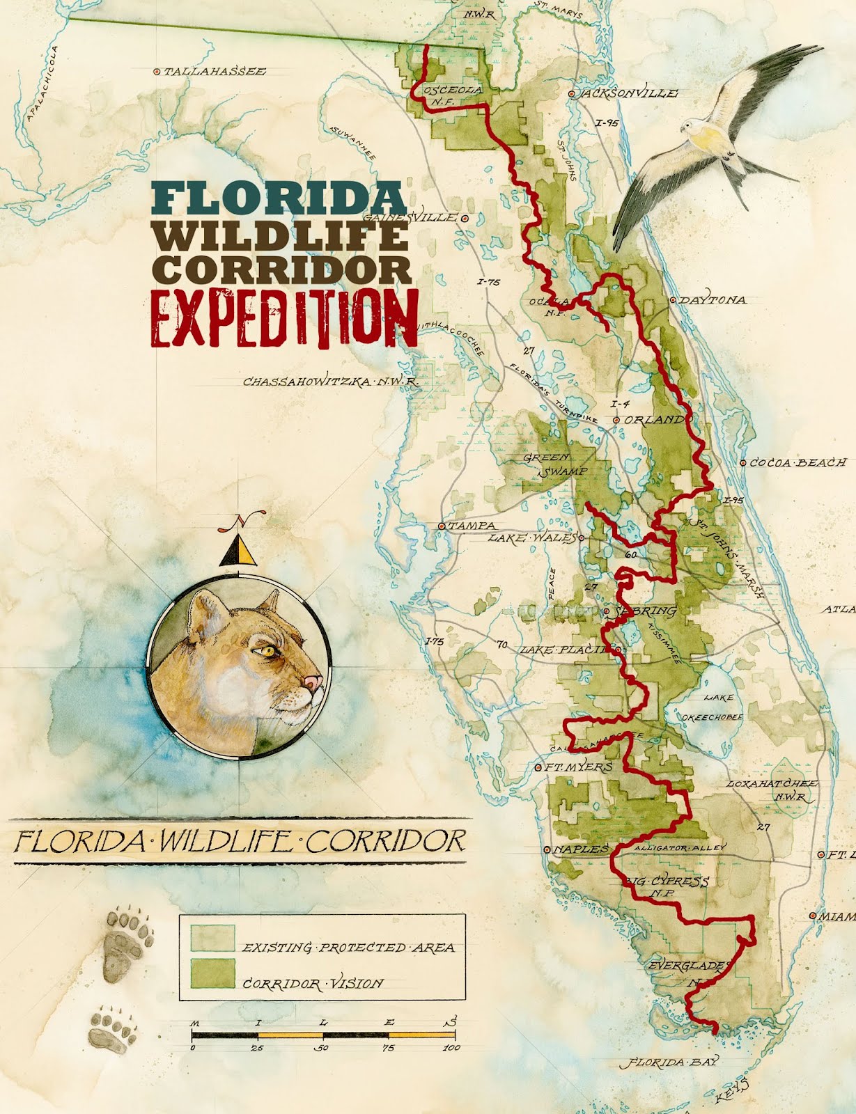 Old Florida: Catching up with the Florida Wildlife Corridor Expedition