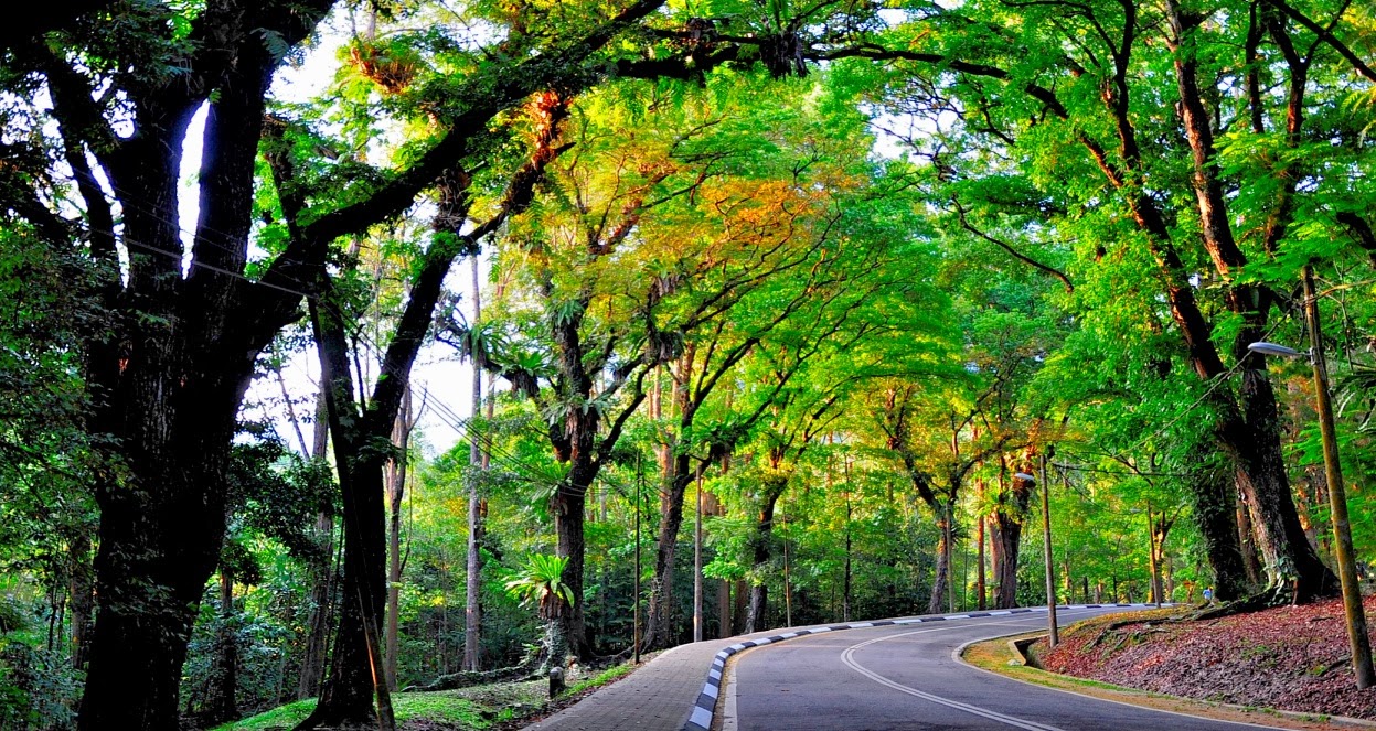 Forest Research Institute Malaysia (FRIM)