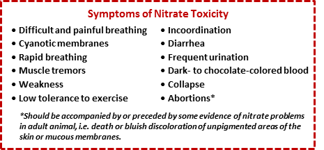 Ag Equipment & TMR Info Center: Signs of Nitrate Poisoning in Cattle