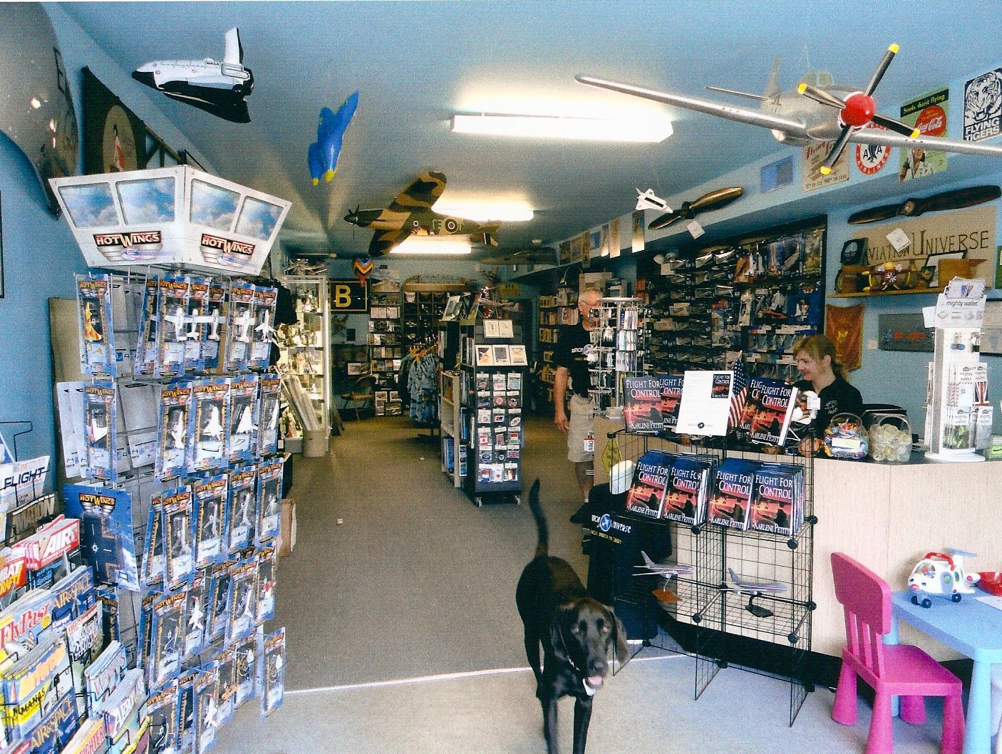 Flight To Success: Aviation Universe WebStore