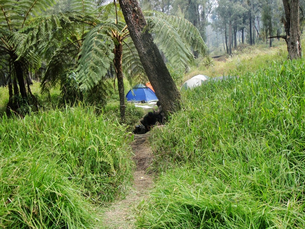 Pendakian Gunung Arjuno 3.339 mdpl via Tretes - Manusia Lembah