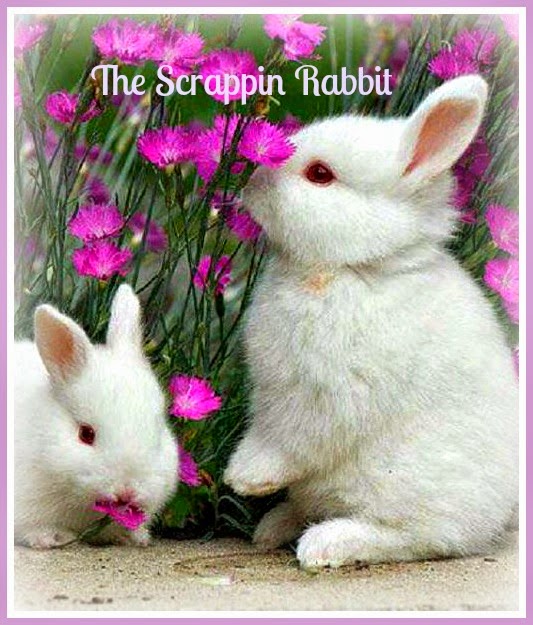 The Scrappin Rabbit: Krazy for Kristi W Designs Facebook Co-Hop!