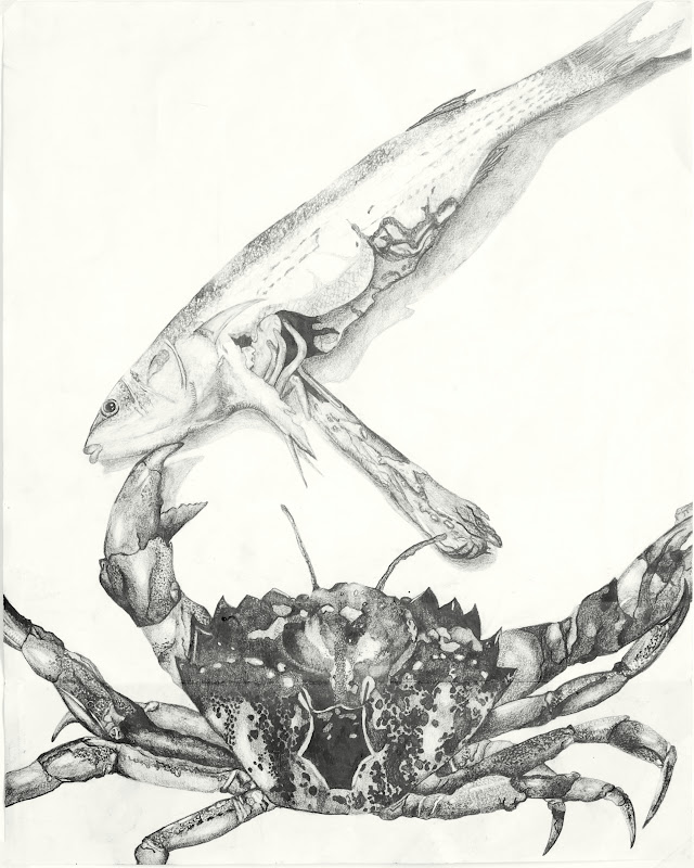 Abstract Noun: Double Sided Drawings