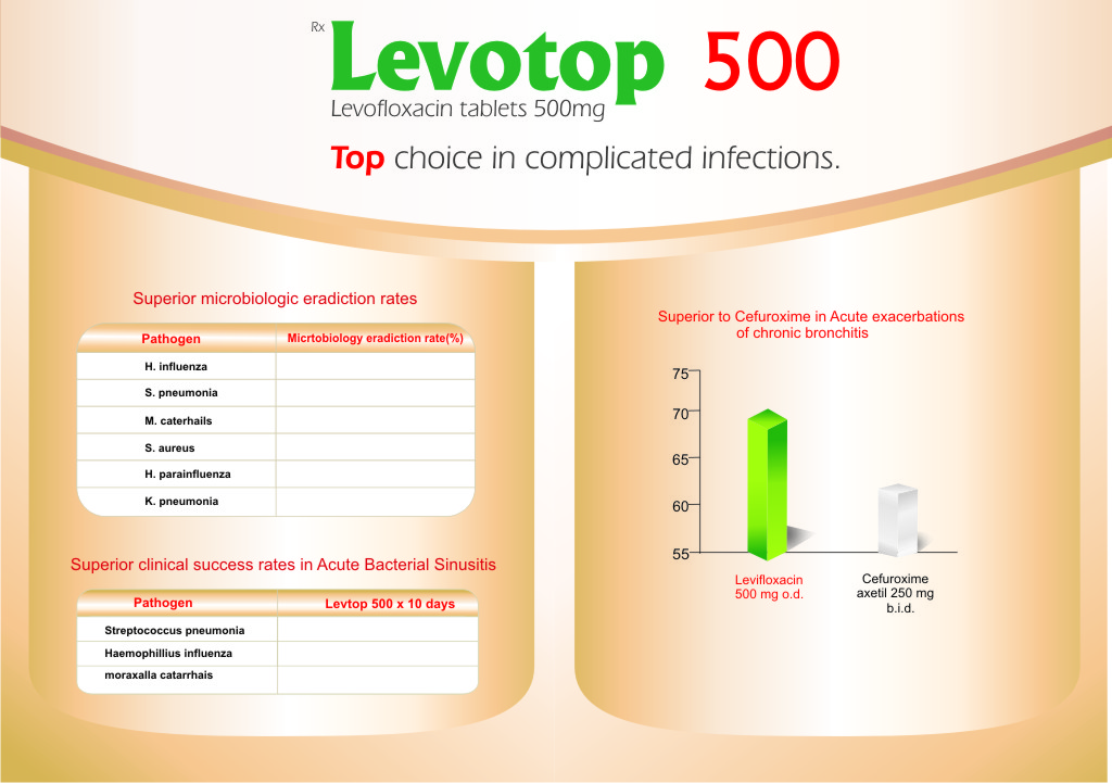 Portfolio: Four Page LBL Design