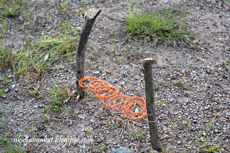 akuyangakut.blogspot : Permainan Tradisional: Lawan Lastik Getah