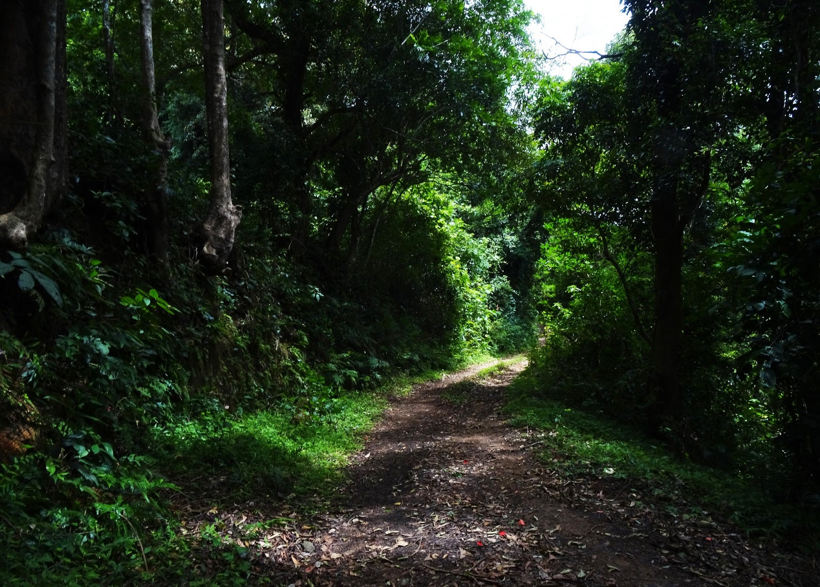 Tamilnadu Tourism: Manjolai Hills, Thirunelveli