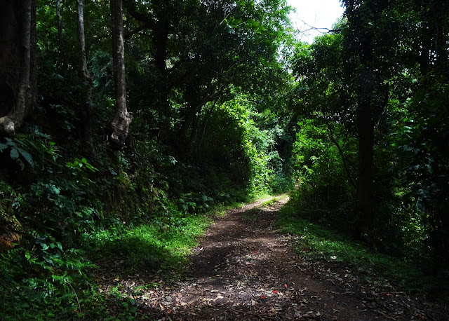 Tamilnadu Tourism: Manjolai Hills, Thirunelveli